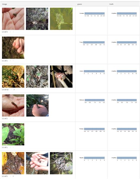 Original Visualize Data For Image Classification Mendeleev Weights