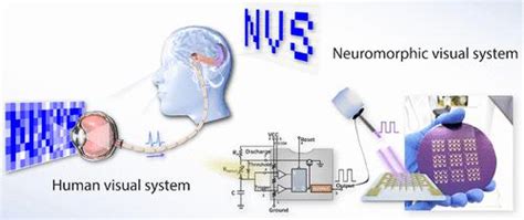 Bio Inspired Vision And Neuromorphic Image Processing Using Printable Metal Oxide Photonic
