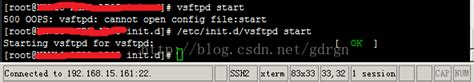 redhat 5 5 linux ftp vsftpd 服务安装 redhat vsftpd 安装 csdn博客