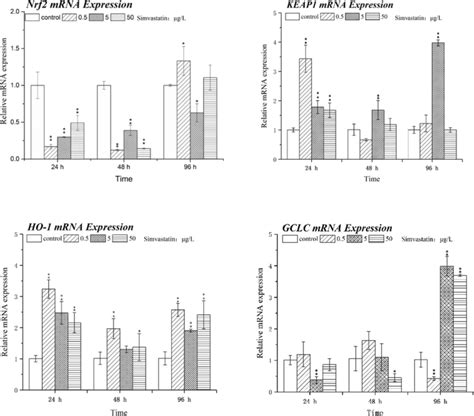 Effects Of Different Concentrations Of Simvastatin On Nrf2 Keap1 Download Scientific Diagram