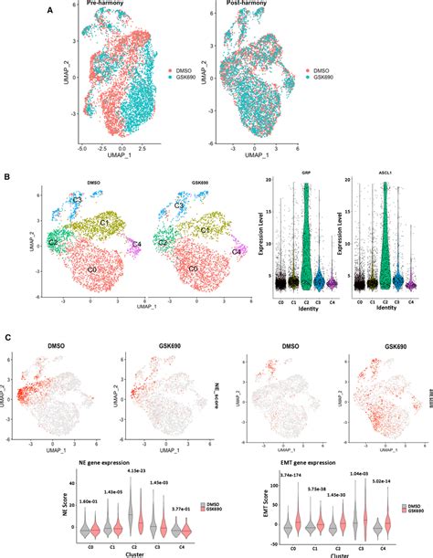 Single Cell Rna‐seq Reveals Emergence Of Cell Subpopulations Enriched Download Scientific
