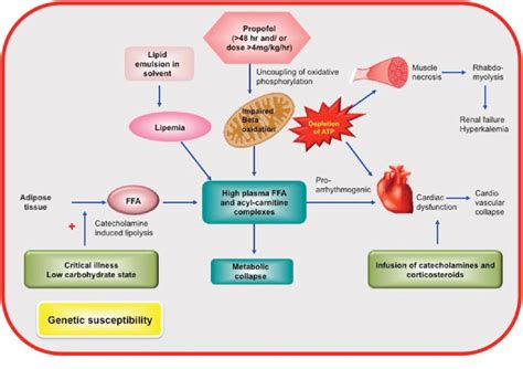 Propofol Infusion Syndrome
