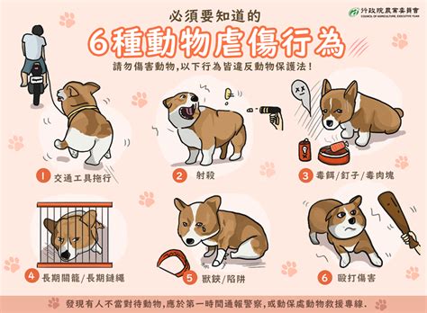 別傷害牠們！農委會：這6種虐傷動物行為皆違犯動保法！ 玩咖playing 自由電子報
