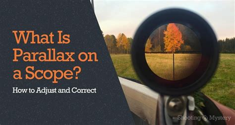 What Is Parallax On A Scope How To Adjust And Correct
