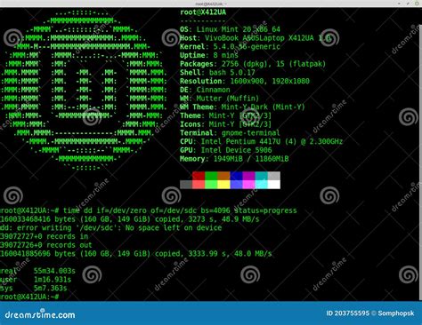 Linux Mint Screen Display It Details And Configuration After Logon To