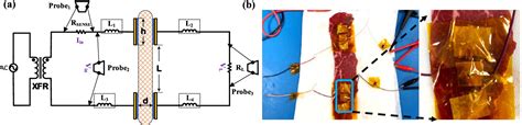 Figure 1 From Design And Optimization Of Capacitive Links For Wireless Power Transfer To