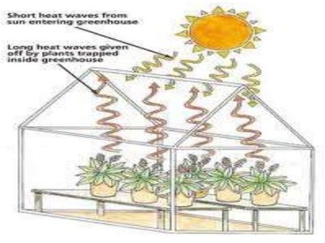 Environmental Parameters For Optimum Plant Growth