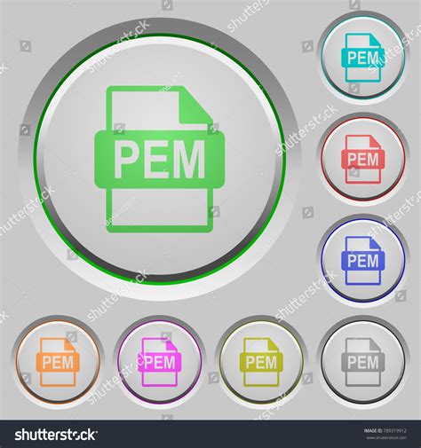 Pem File Format Color Icons On Stock Vector Royalty Free 789319912 Shutterstock