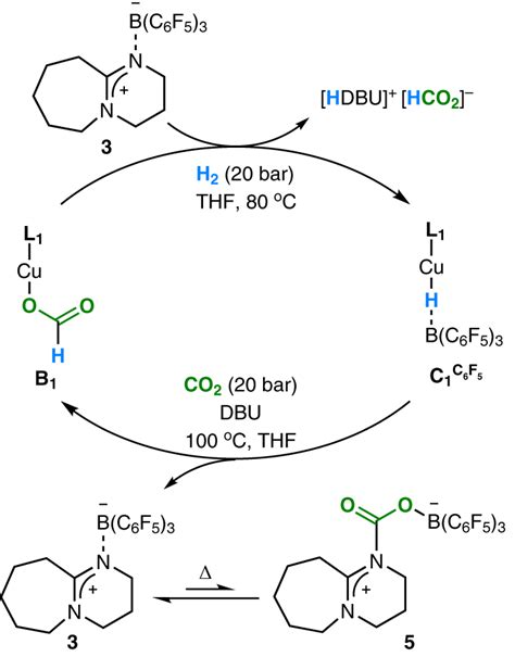 Stoichiometric Reactions Supporting The Proposed Catalytic Cycle The