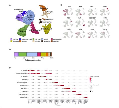 Single Cell Transcriptomic Analysis Of Atll A Umap Plot For 15 550 Download Scientific
