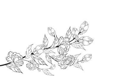 섬세한 꽃 배경 고급스러운 피는 가지 프레임 테두리 섬세한 꽃과 새싹의 가지 윤곽선 손 그리기 조각 텍스트 공간 포함 꽃 식물에 대한 스톡 벡터 아트 및 기타 이미지