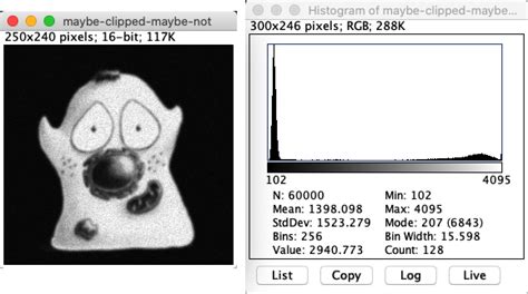 ImageJ Types Bit Depths Introduction To Bioimage Analysis