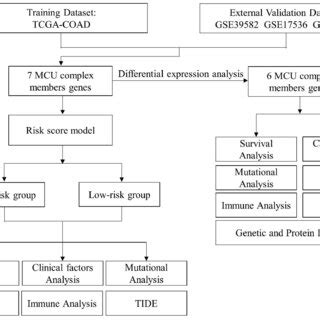 Workflow Diagram The Flowchart Graph Of This Study Download Scientific Diagram