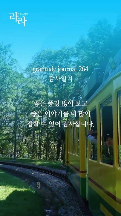 감사일기 264 평범하고 무탈한 일상의 감사함을 매일 누릴 수 있어 감사합니다감사일기 감사로시작하는365 감사영상 매일 나와의약속 긍정에너지 자기사랑