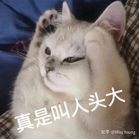 精灵耳火出圈耳朵究竟对面部有什么影响 知乎