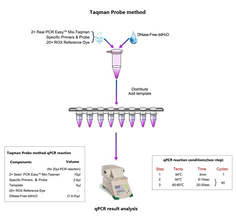 Real Time Pcr Easy Tm Taqman Rt Pcr Master Mix Quantitative Detection Of Rna Templates