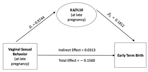 Association Between Sexual Activity During Pregnancy Pre And Early Term Birth And Vaginal