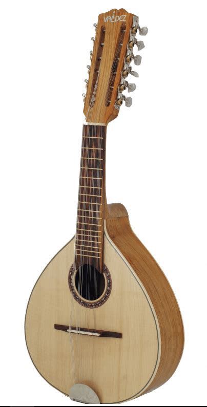 12 String Mandriola Or Tricordio Vs 8 String Standard Mandolin For A Begginer R Mandolin