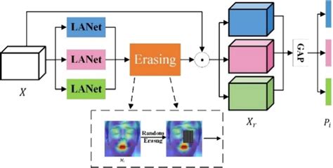 The Architecture Of The Attention Erasing Ae This Module Is Inspired Download Scientific