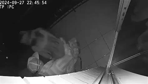 Nachbarn Beim Sex Erwischt Sie Haben Gesehen Wie Ich Zugesehen Und