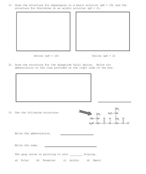 Solved 1 Draw The Structure For Asparagine In A Basic