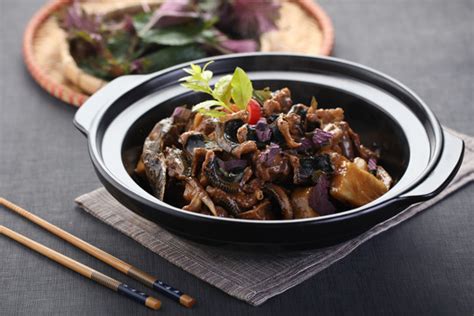 紫苏炆青头鸭图片素材 紫苏炆青头鸭设计素材 紫苏炆青头鸭摄影作品 紫苏炆青头鸭源文件下载 紫苏炆青头鸭图片素材下载 紫苏炆青头鸭背景素材 紫苏