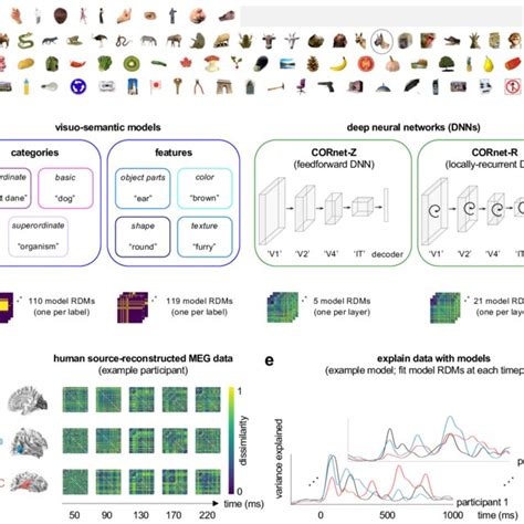 Dnns Better Explain Lower Level Visual Representations Visuo Semantic