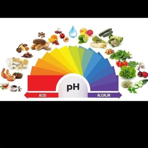 Alcalinizarea și Detoxifierea Organismului Fix La Fix Cu Liliana Budugan