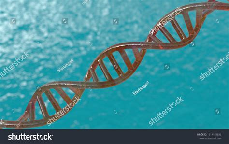 3d Illustration Structural Model Dna Double 스톡 일러스트 1614163633