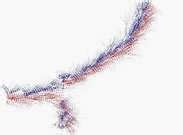 A Branching Points Between LCX And LAD For Three Patients With The Download Scientific
