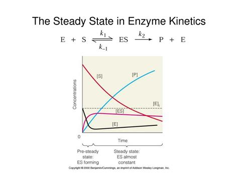 Ppt Enzyme Kinetics Powerpoint Presentation Free Download Id 3195326