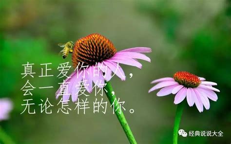 超火的励志语录句句经典正能量 人生