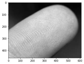 Opencv Edge Detection In Python With Cv Canny