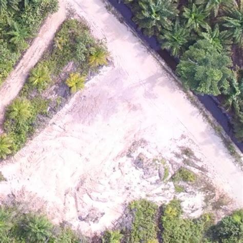 Deteksi Sawit Object Detection Dataset By Geoai