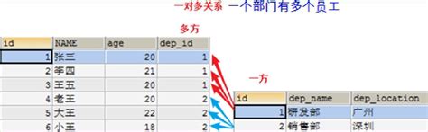 Mysql多表之间的关系及其建表原则 只要不兔的学习笔记 博客园