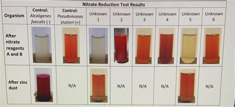 Solved My Unkown Is 2 Complete The Following Table With