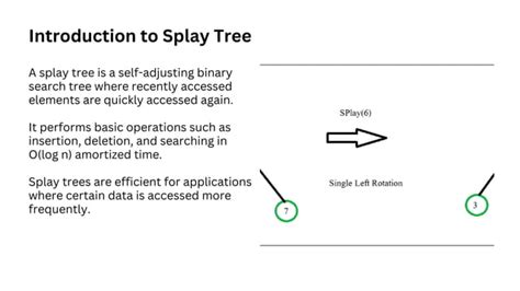 Detailed Data Structures In Splay Tree Pptx