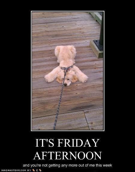 Friday Afternoon Work Meme