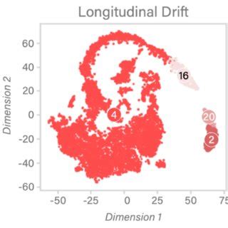Two Dimensional Representations Of The Cluster Space By Behavioral Download Scientific Diagram