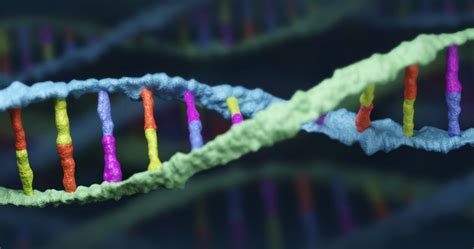 Genetic Algorithm Tutorial A Genetic Algorithm In C To Solve Complex