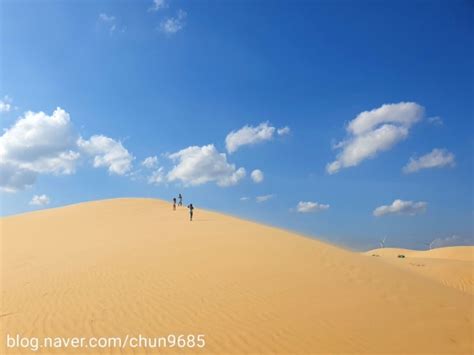 Day 12 무이네 맛집 Wok 무이네 지프투어요정의 샘물 화이트샌듄 레드샌듄 반쎄오 맛집 Banh Xeo Uncle Muoi 네이버 블로그