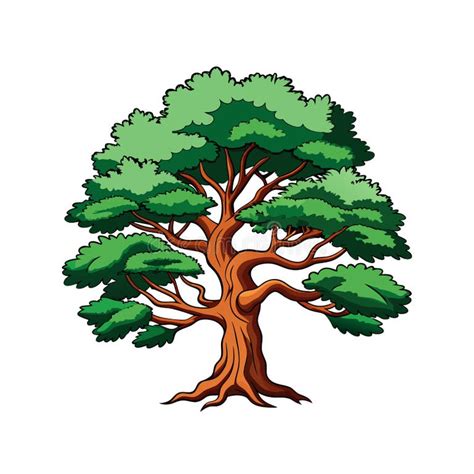 Bold Common Juniper Tree Illustration On White Background Stock
