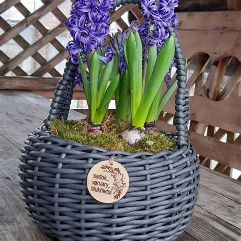 Кашпо — цена 350 грн в каталоге Кашпо Купить товары для дома и быта по доступной цене на Шафе