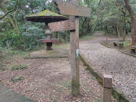 大崙頭尾山5連峰下白石湖 健行筆記
