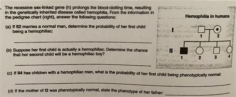 Solved The Recessive Sex Linked Gene H Prolongs The Chegg Com