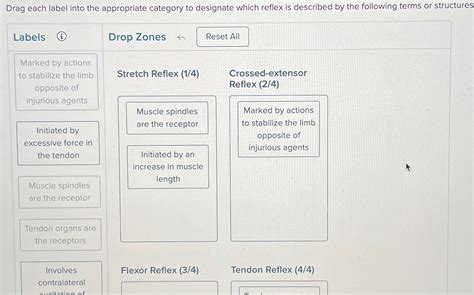 Solved Drag Each Label Into The Appropriate Category To
