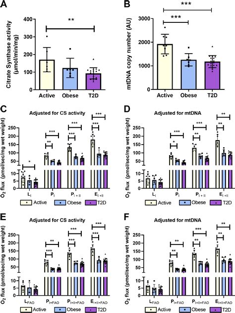 Comprehensive Interrogation Of Human Skeletal Muscle Reveals A