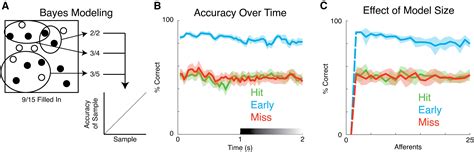 Orbitofrontal Cortex Conveys Stimulus And Task Information To The Auditory Cortex Current Biology
