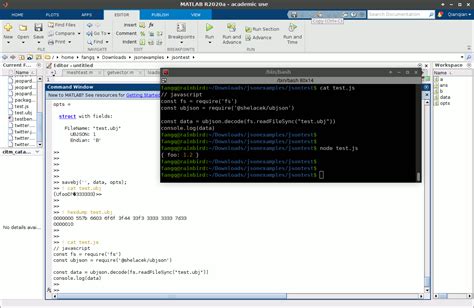 Ubjson Broken By Matlab Fwrite Change Issue Neurojson Jsonlab Github