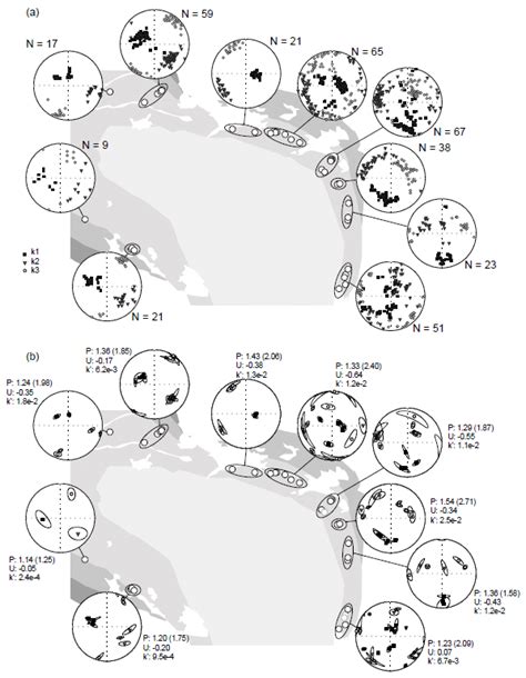 A AMS For Individual Specimens And B AMS Site Means And Confidence Download Scientific